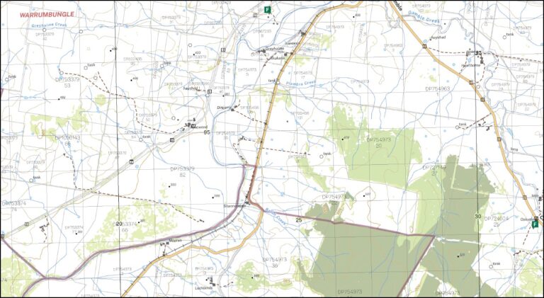 Binnaway 1-50000 NSW Topographic Map - Maps, Books & Travel Guides