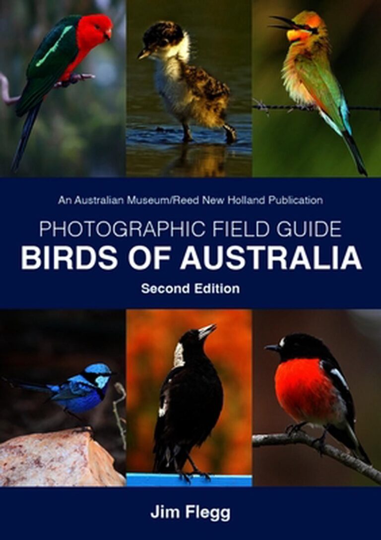 Photographic Field Guide Birds of Australia Flegg - Maps, Books ...