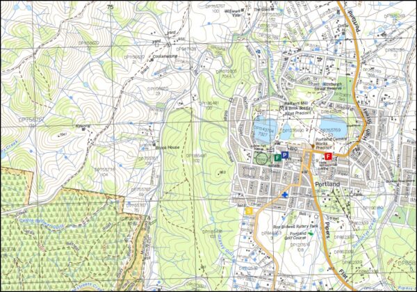 Portland 1-25,000 NSW Topographic Map - Maps, Books & Travel Guides