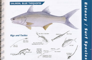 Australian Fish Guide Hardback Edition AFN - Maps, Books & Travel Guides