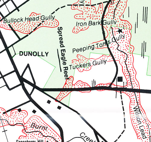Dunolly Bet Bet Gold Relic Map - Maps, Books & Travel Guides