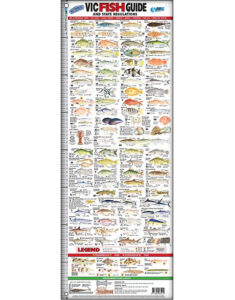 Vic Fish Guide ID Ruler AFN - Maps, Books & Travel Guides