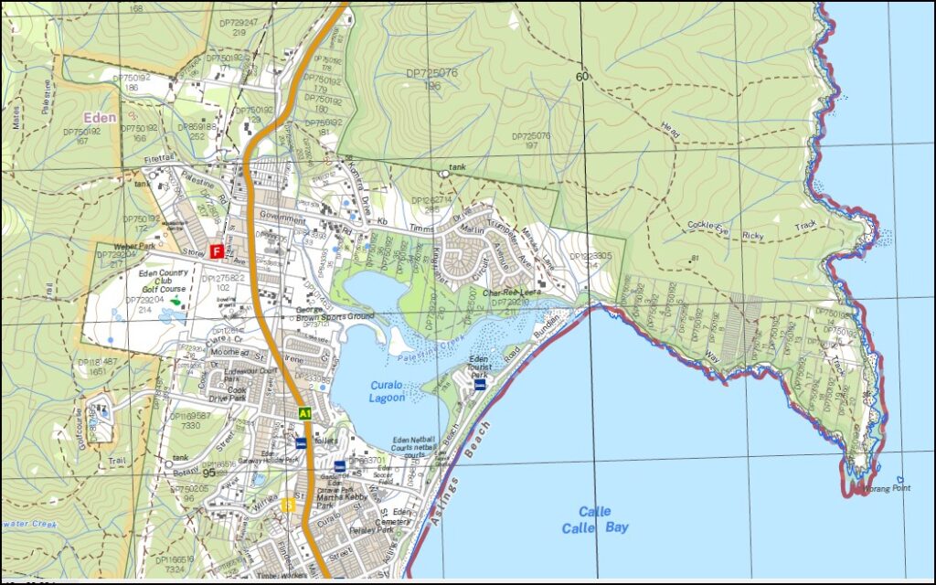 Eden 1-25,000 NSW Topographic Map 8823-1-N - Maps, Books & Travel Guides